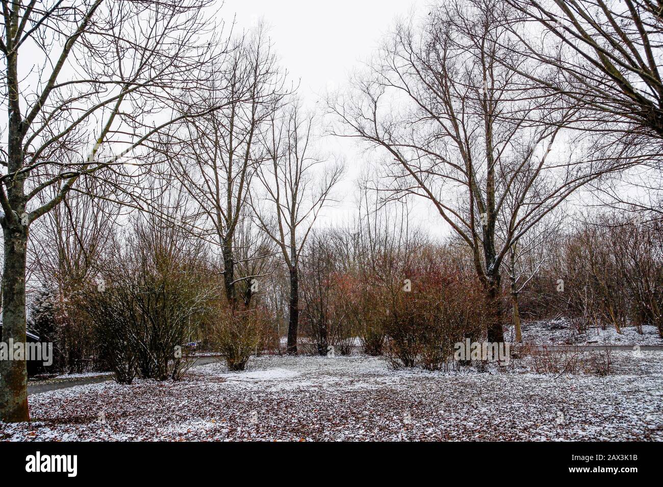 Winter landscape,dull colours, chilly depressing melancholic mood ...