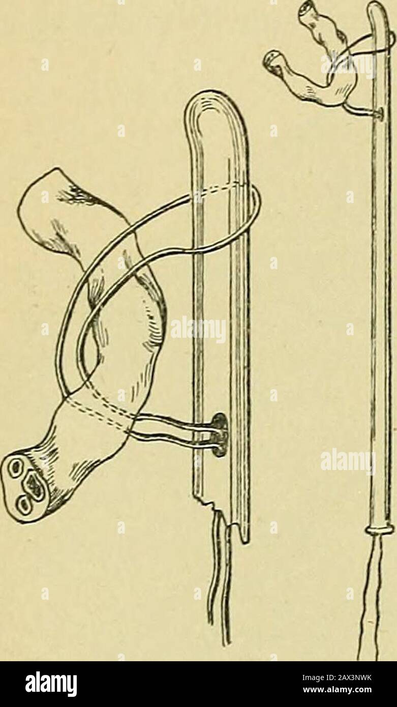 The practice of obstetrics, designed for the use of students and ...