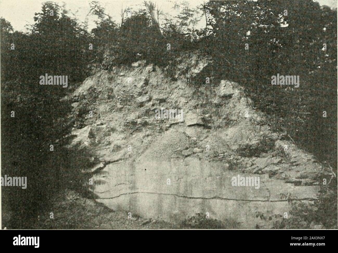 Sandy soil with brush hi-res stock photography and images - Alamy