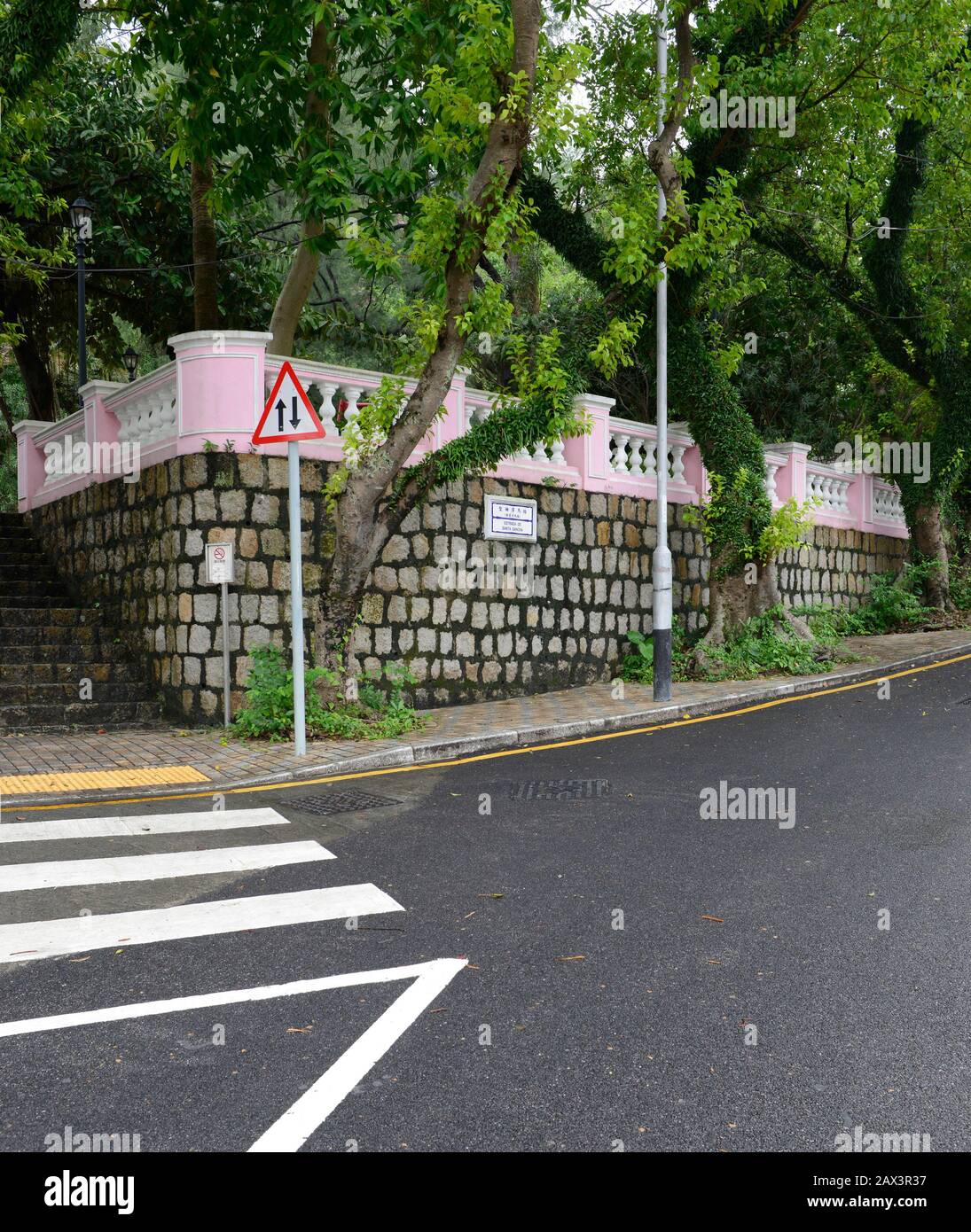 Banyan trees by the side of a road in a well-to-do area of Macau, China ...