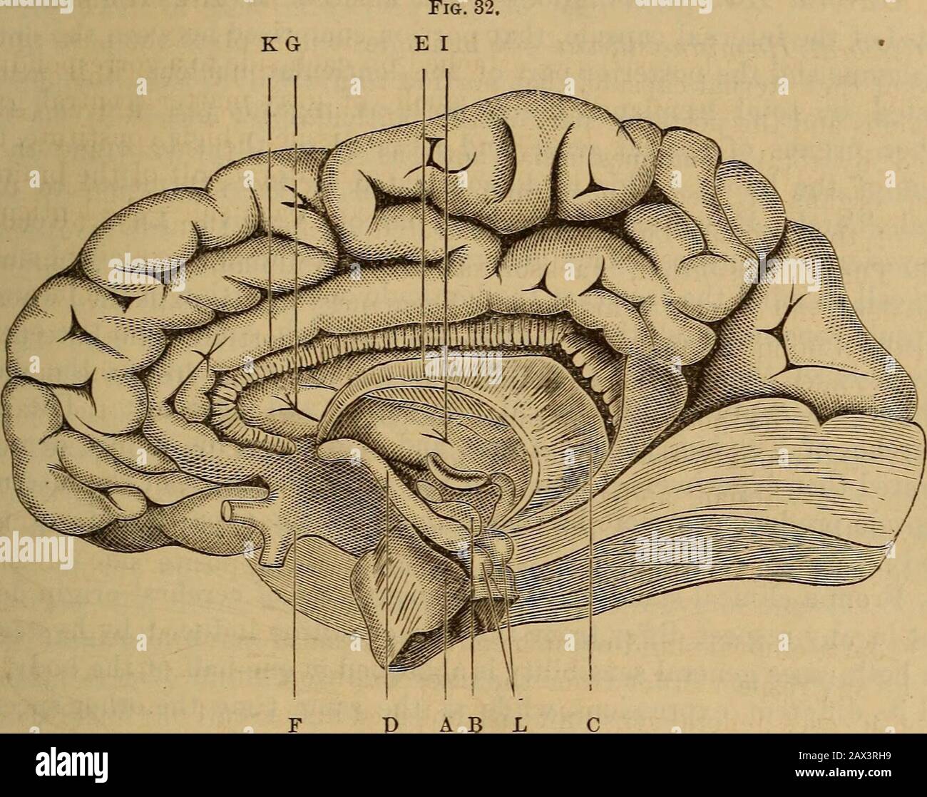 Lentic system hi-res stock photography and images - Alamy