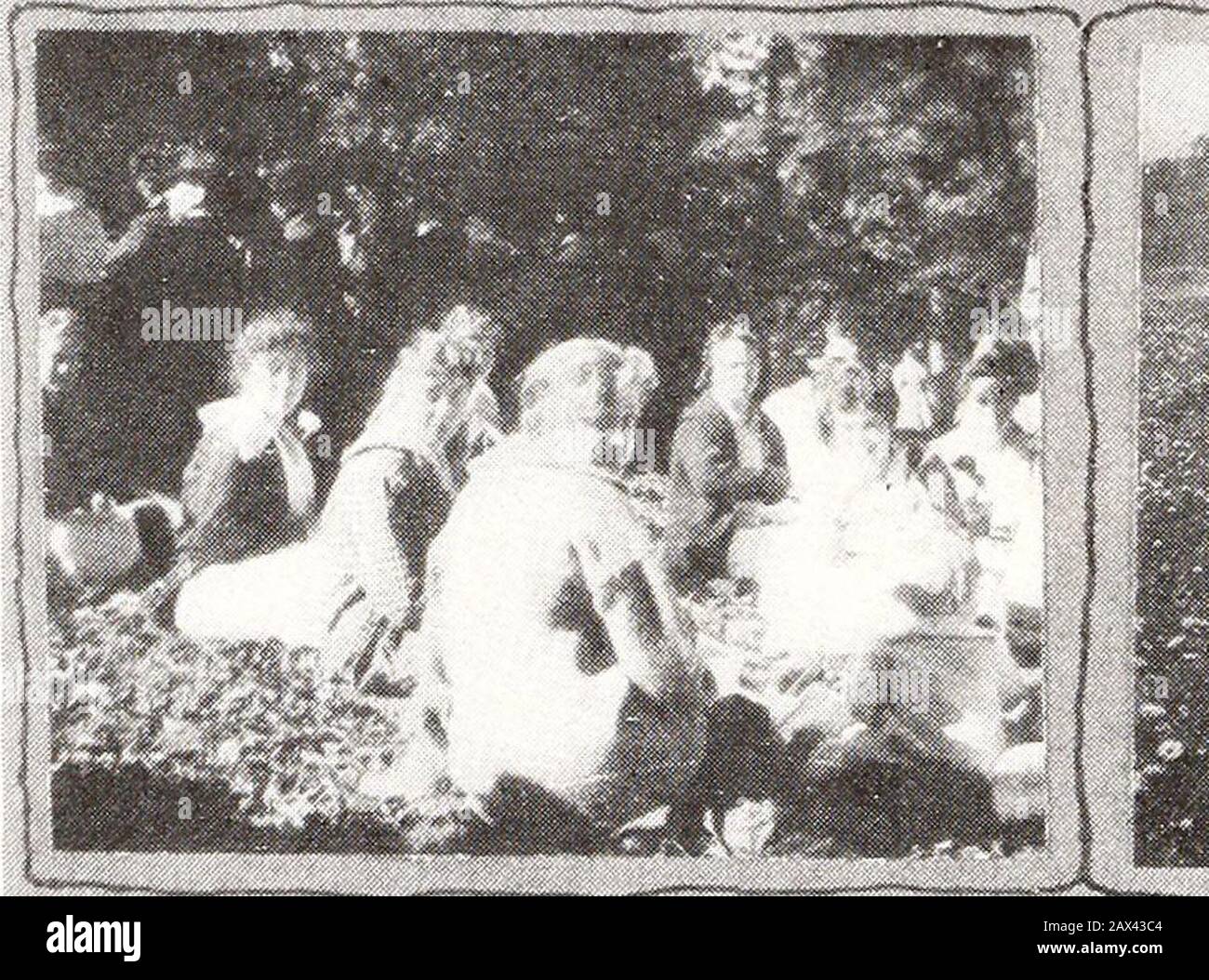 Multifaria hi-res stock photography and images - Alamy