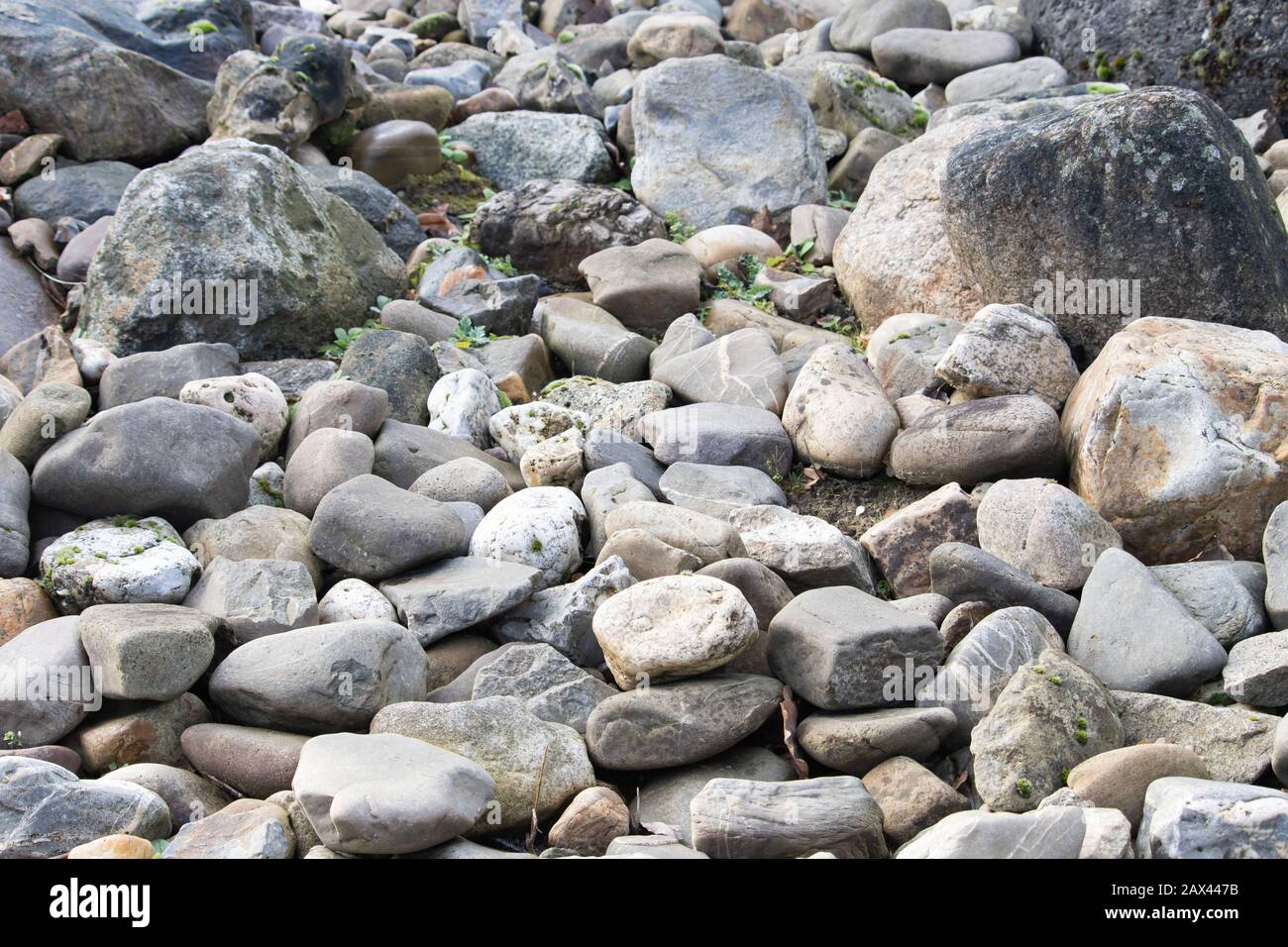 High angle shot of the ground covered with small and large river stones ...