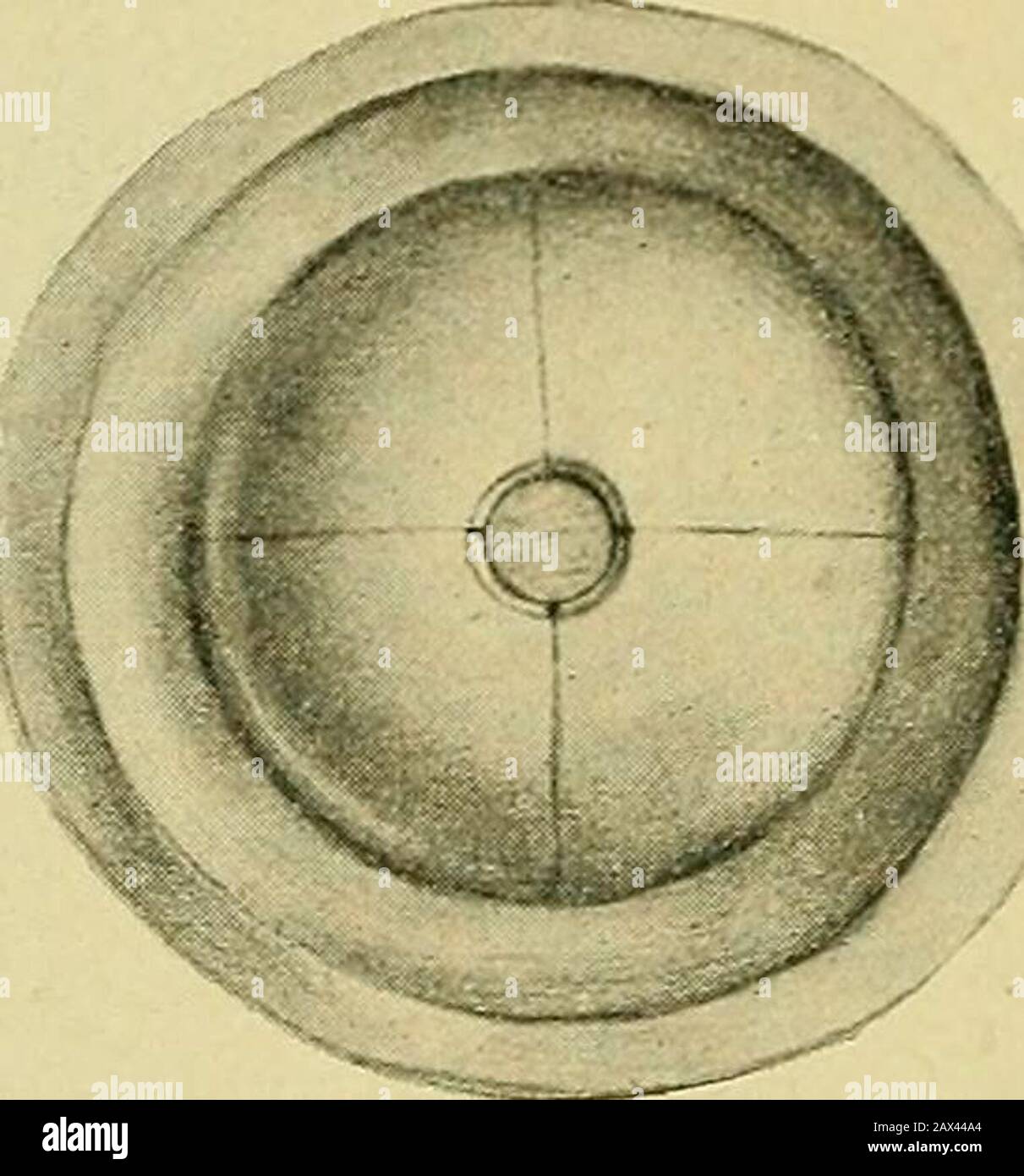 The practice of obstetrics, designed for the use of students and ...