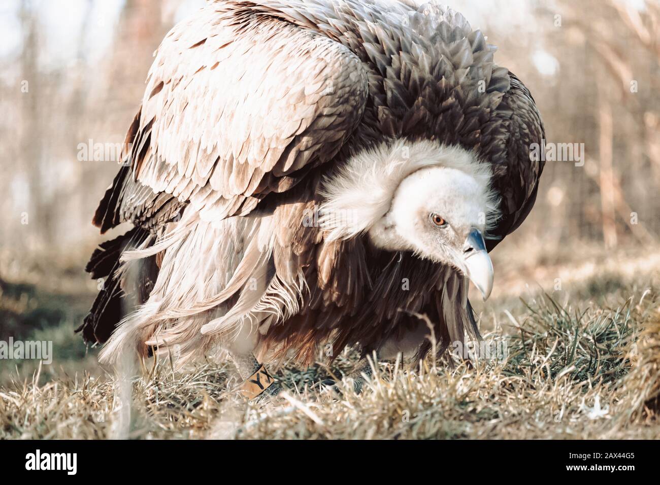 Crouched position hi-res stock photography and images - Alamy