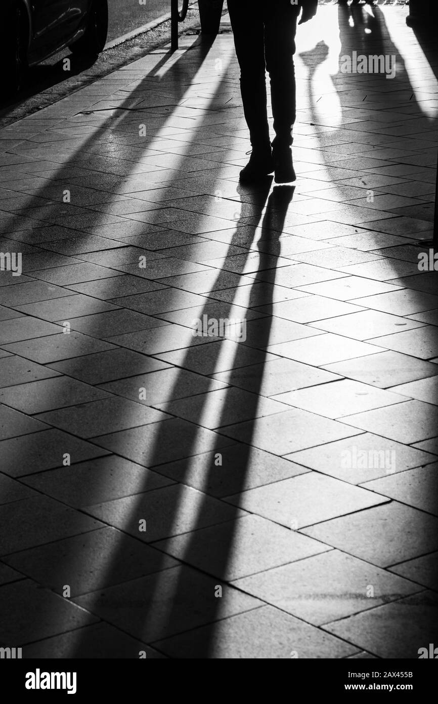 Long human shadows projected on the pavement at sunset Stock Photo - Alamy