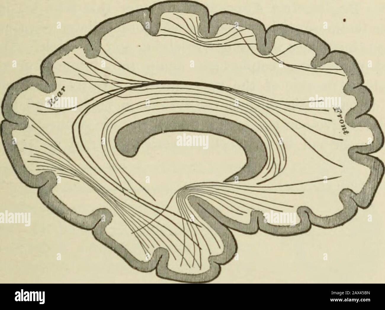 Connectingparts hi-res stock photography and images - Alamy