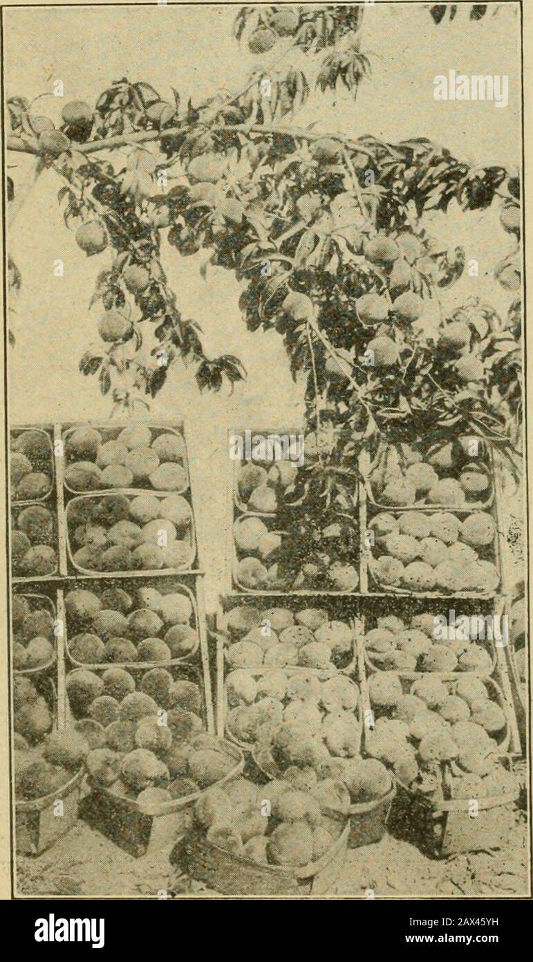 Ozark boundary hi-res stock photography and images - Alamy