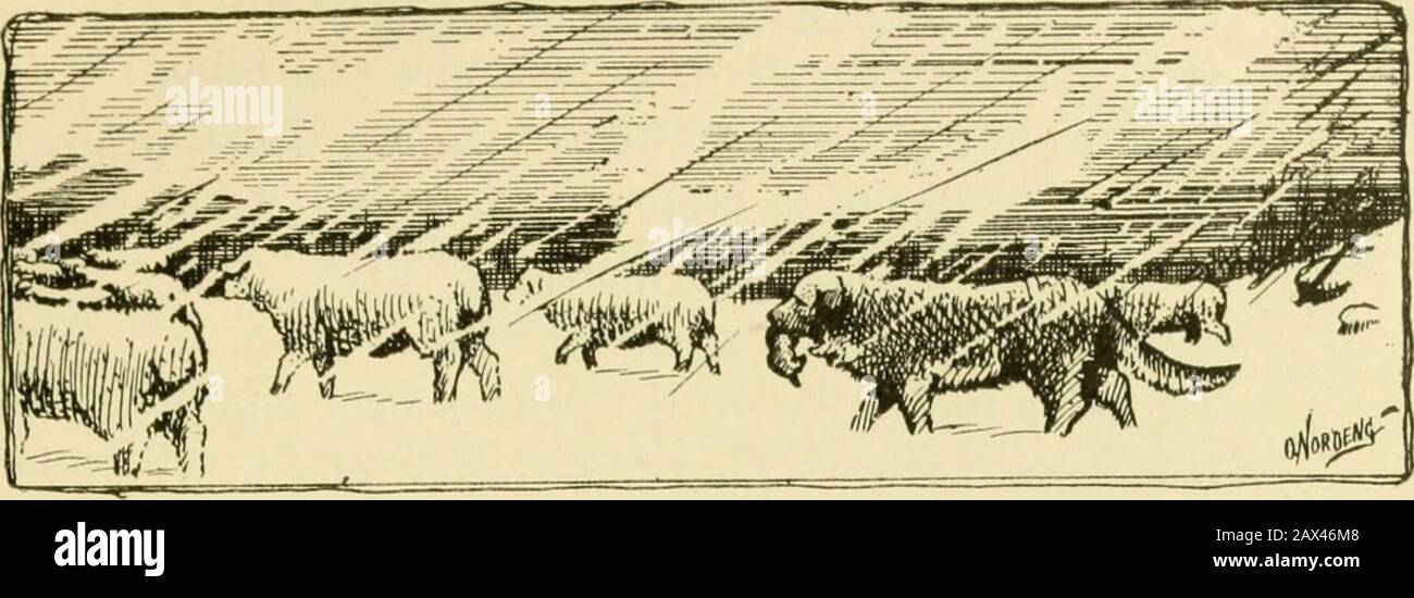 Human sacrifice altar hi-res stock photography and images - Alamy