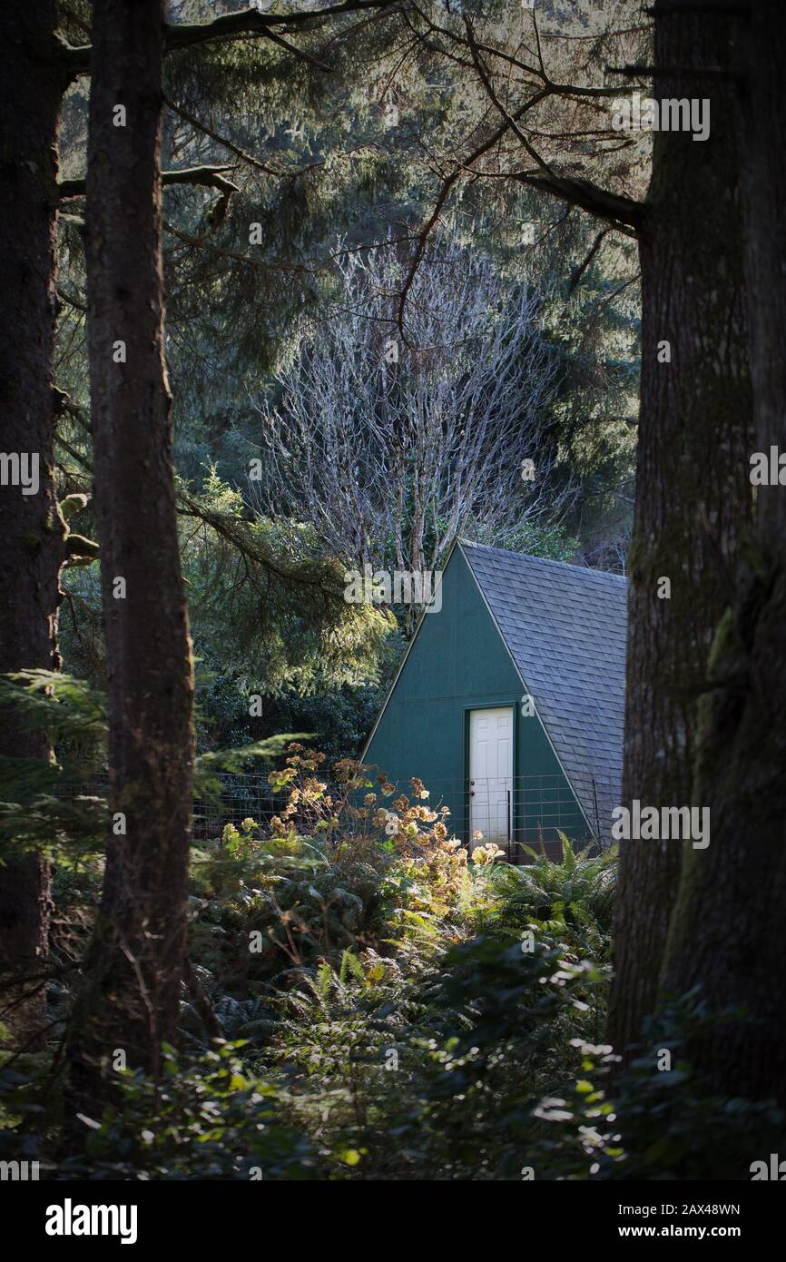 An A frame building in a forest in Oregon, USA Stock Photo - Alamy
