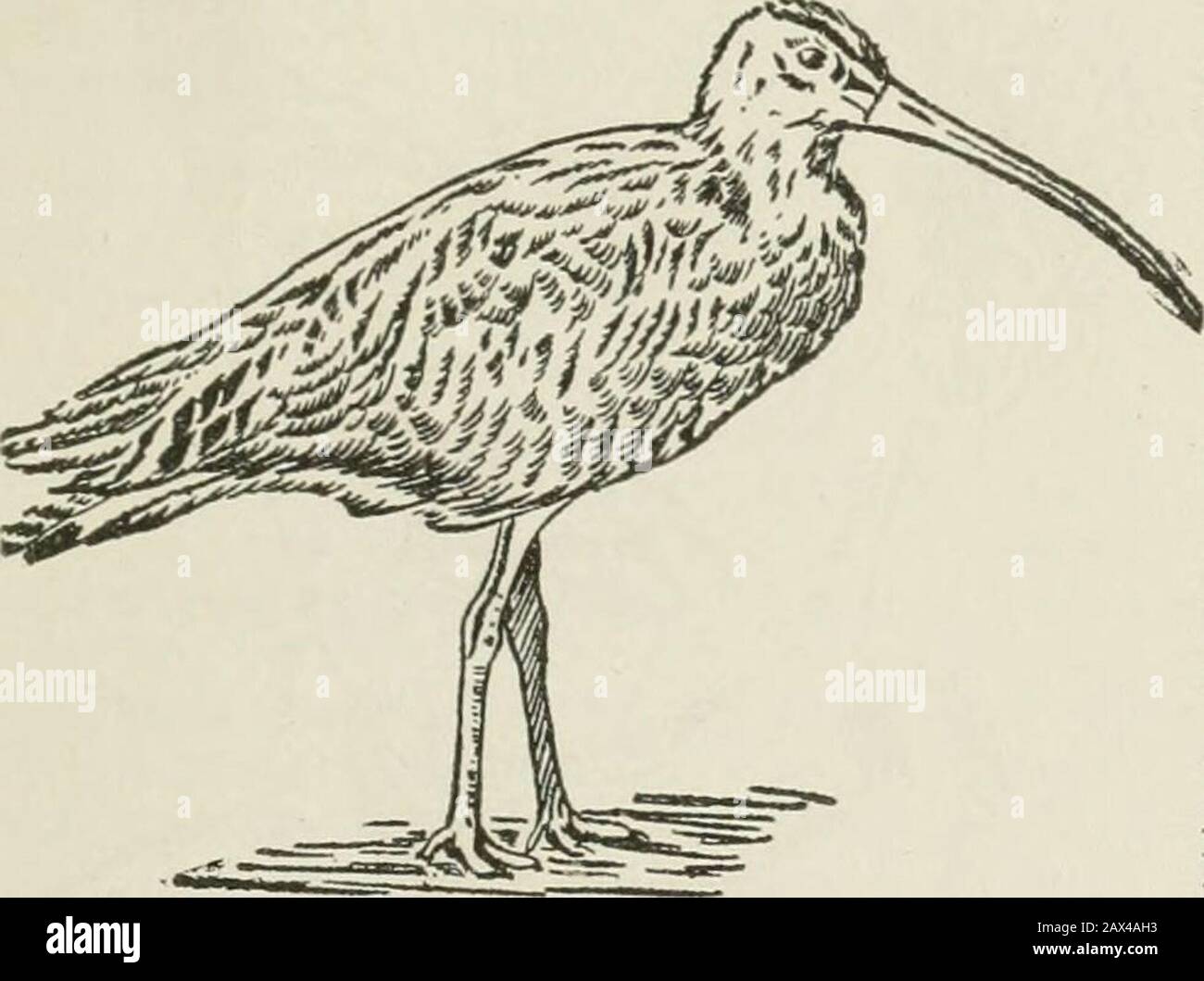 Simple appara tus hi-res stock photography and images - Alamy