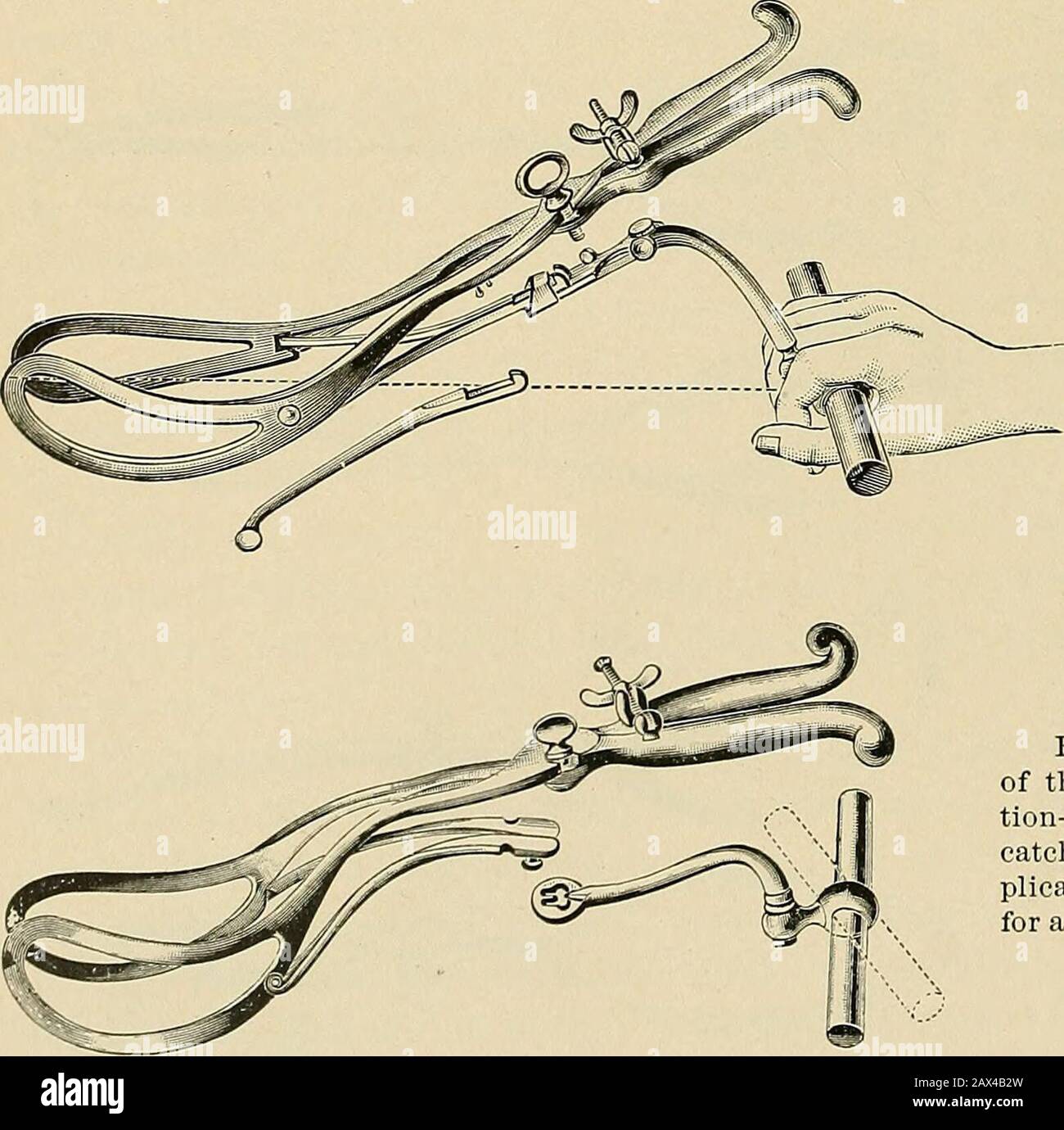 The American text-book of obstetrics for practitioners and students ...