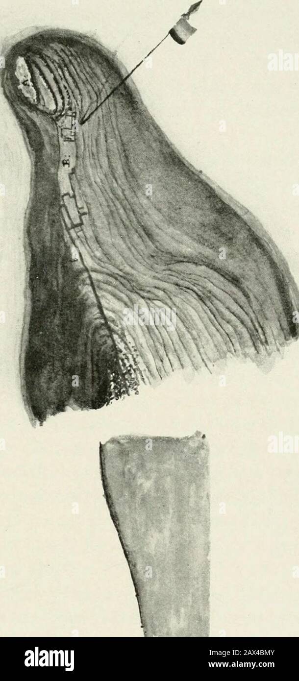 Seventh inca hi-res stock photography and images - Alamy