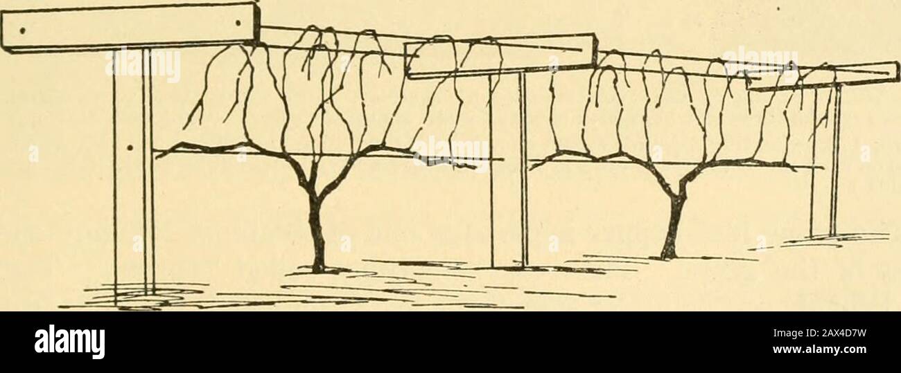 Horticulture, a text book for high schools and normals, including plant ...