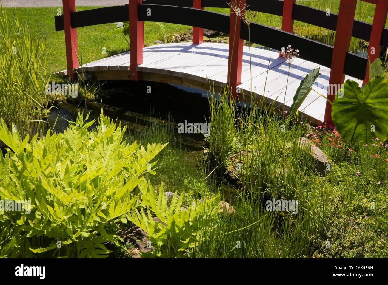 Black railings garden hi-res stock photography and images - Alamy