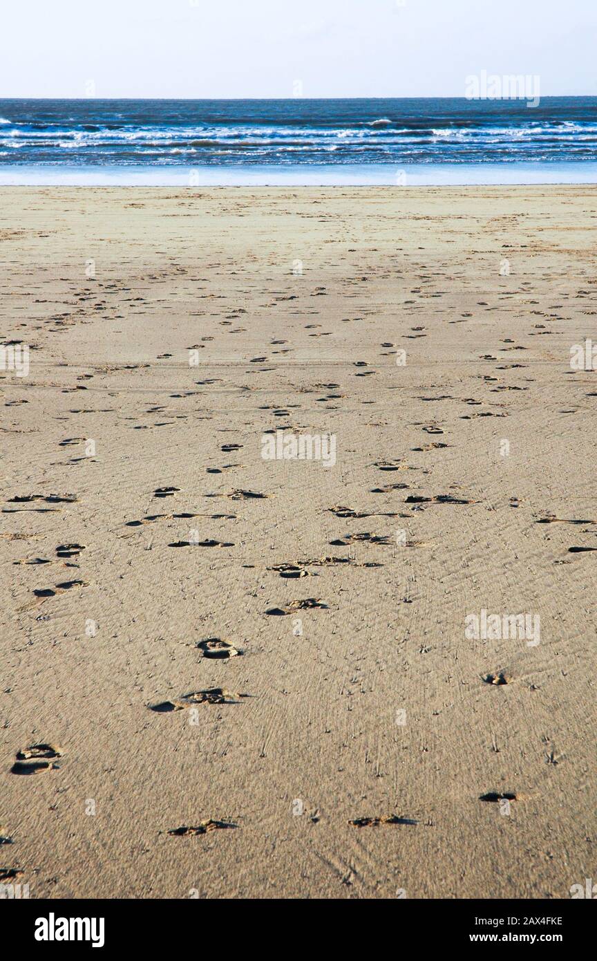 Large empty sandy beach with golden sand leading to the ocean Stock ...