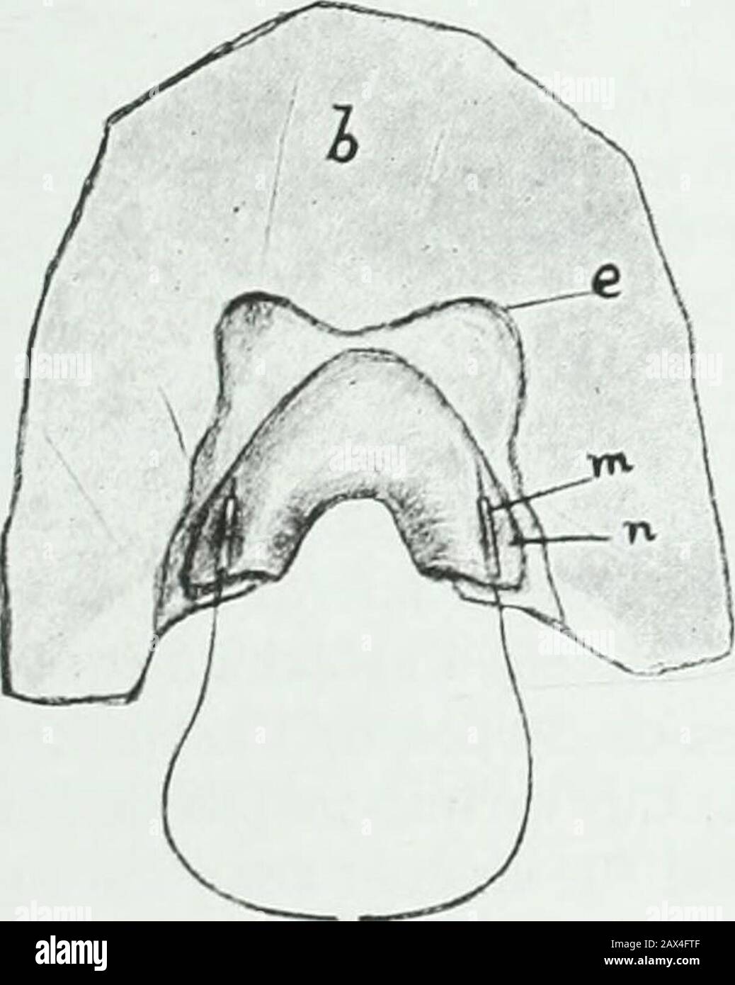A practical treatise on the technics and principles of dental ...
