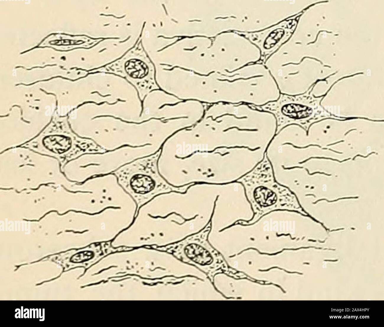 The pathology and surgical treatment of tumors . substance containing ...