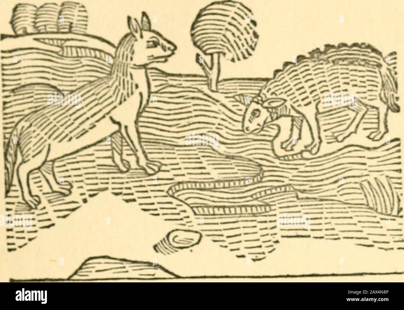 Aesop s fables hi-res stock photography and images - Alamy