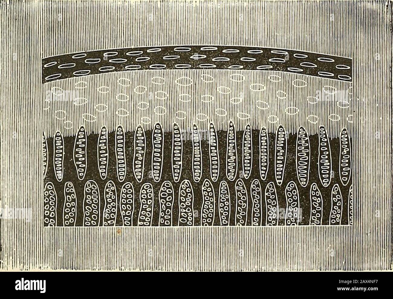 Polarisee hi-res stock photography and images - Alamy