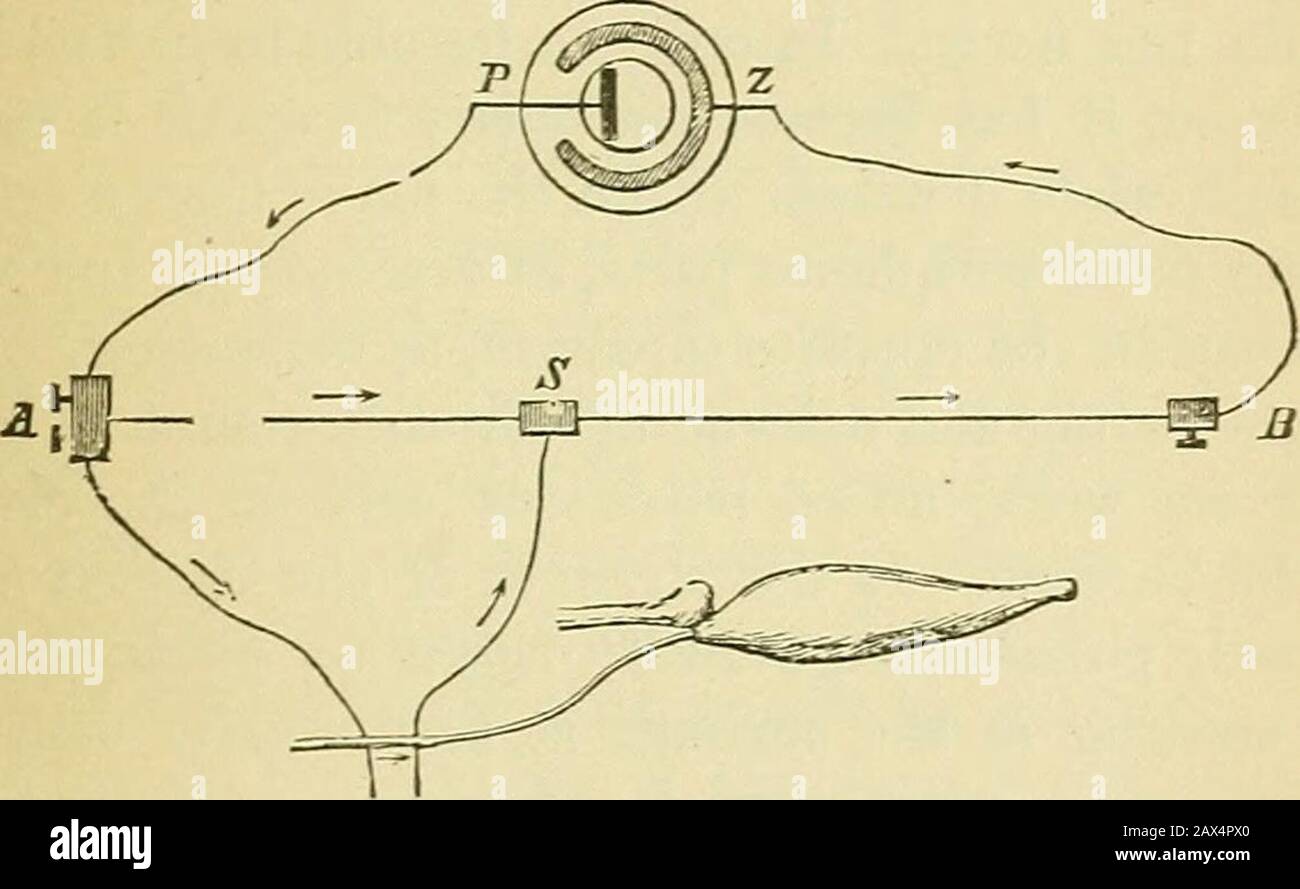 Ied distribution hi-res stock photography and images - Alamy