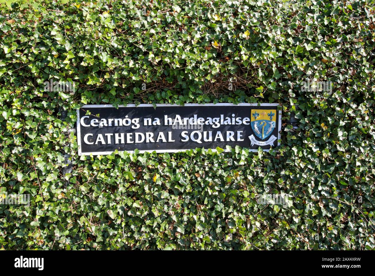 Ivy hedge street sign hi-res stock photography and images - Alamy