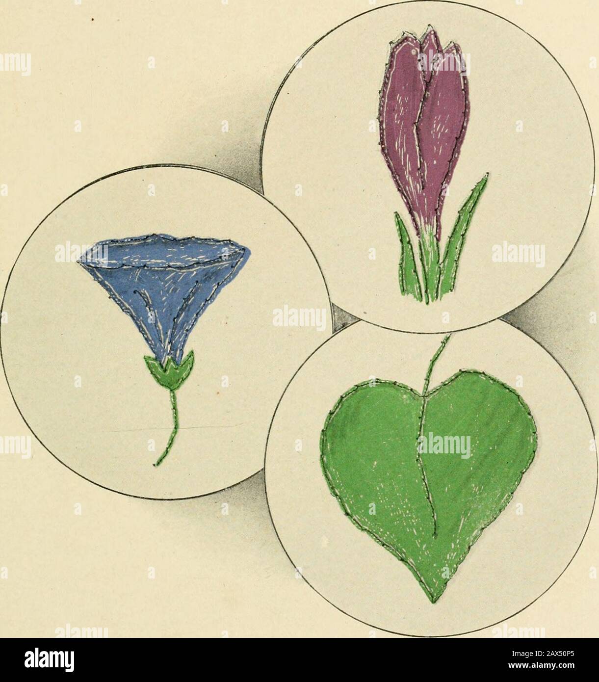 Grades of orange hi-res stock photography and images - Alamy