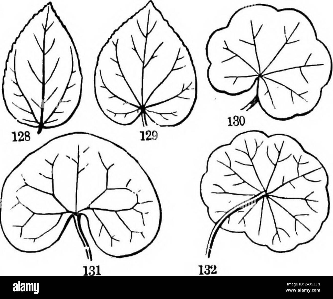 Tapers upwards hi-res stock photography and images - Alamy