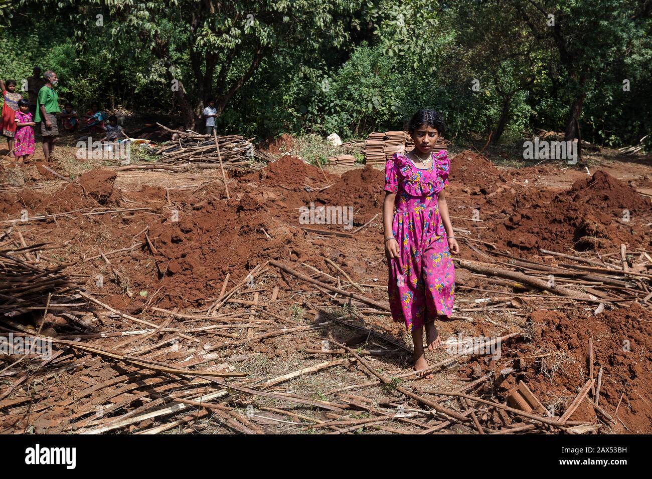 Illegal encroachments of Tribal Sheppard community in Forest territory ...