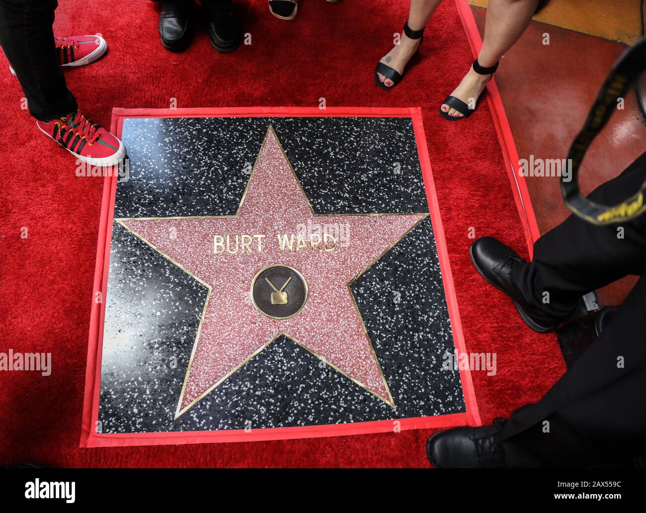 Burt Ward is Honored with Star on Hollywood Walk of Fame in Hollywood ...