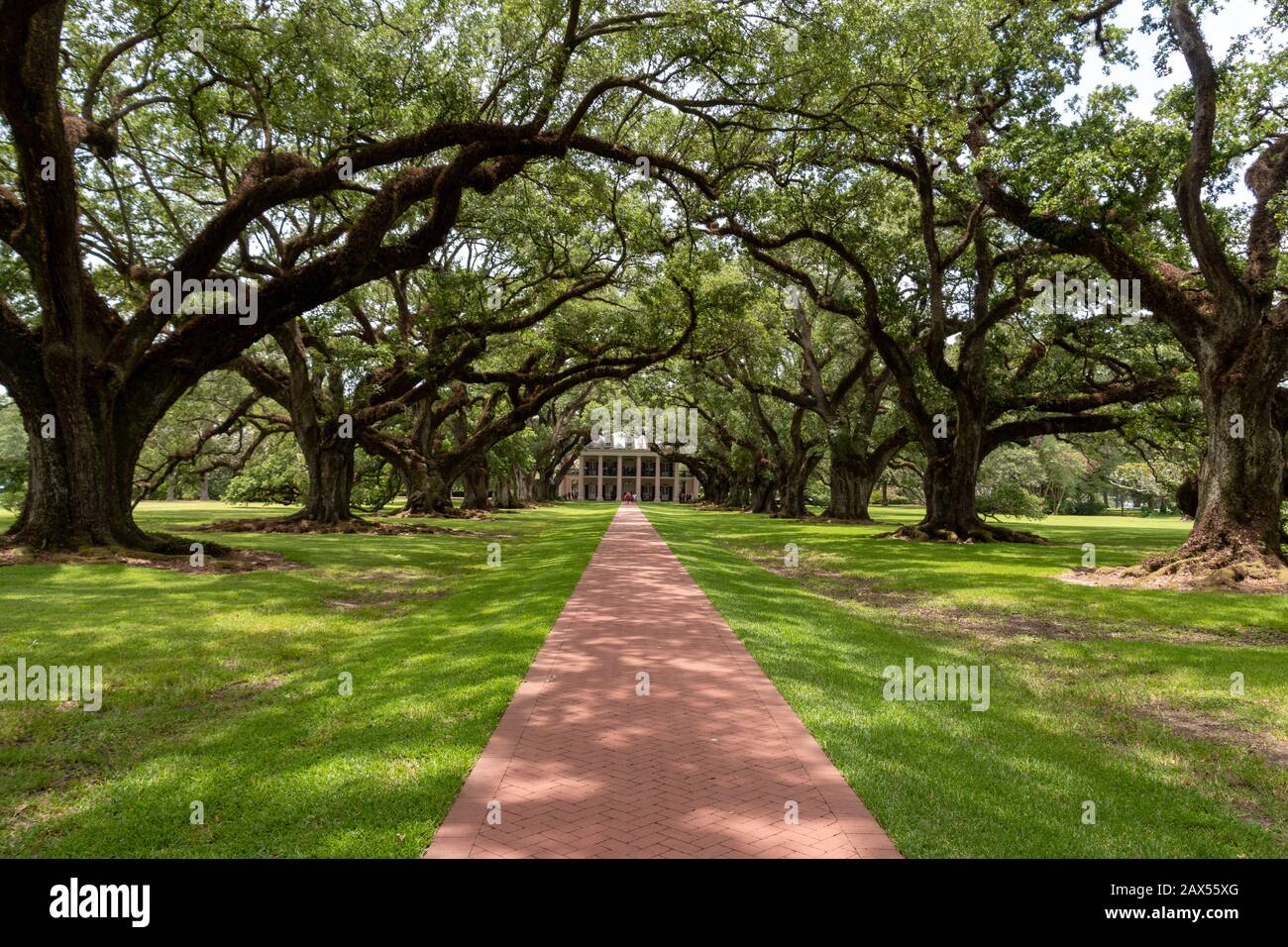 Oak alley plantation antebellum mansion hi-res stock photography and ...