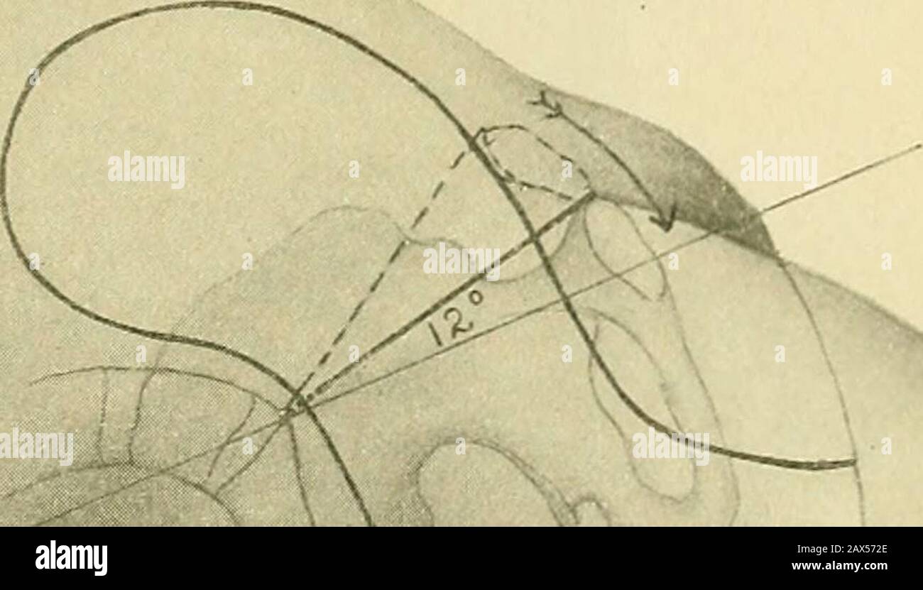 The practice of obstetrics, designed for the use of students and ...