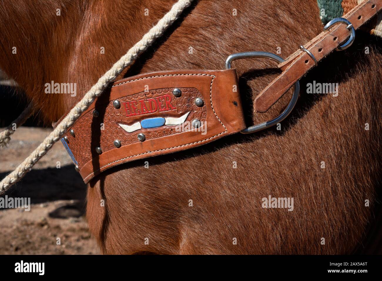 Western rodeo hi-res stock photography and images - Alamy