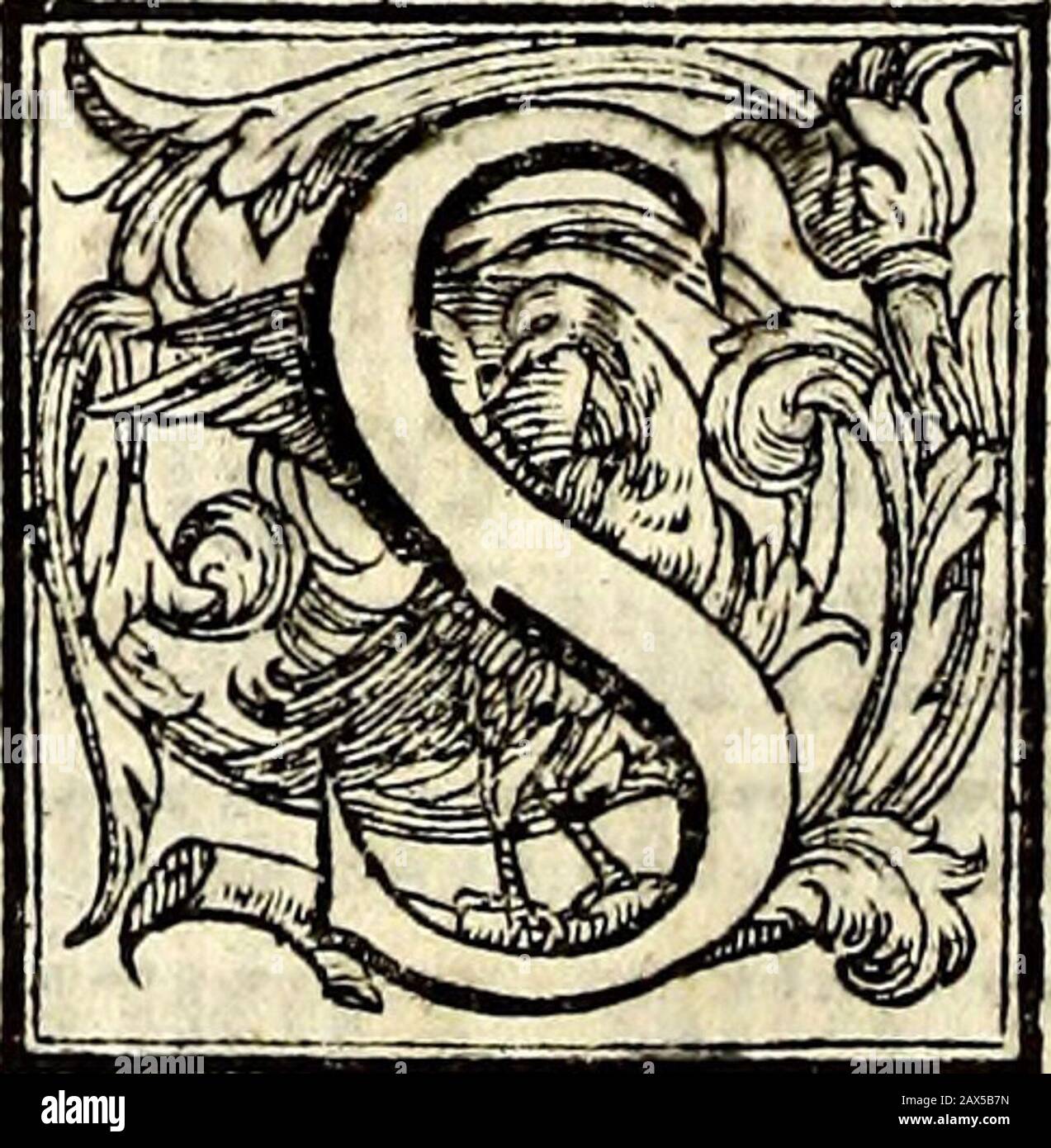 Gabat hi-res stock photography and images - Alamy