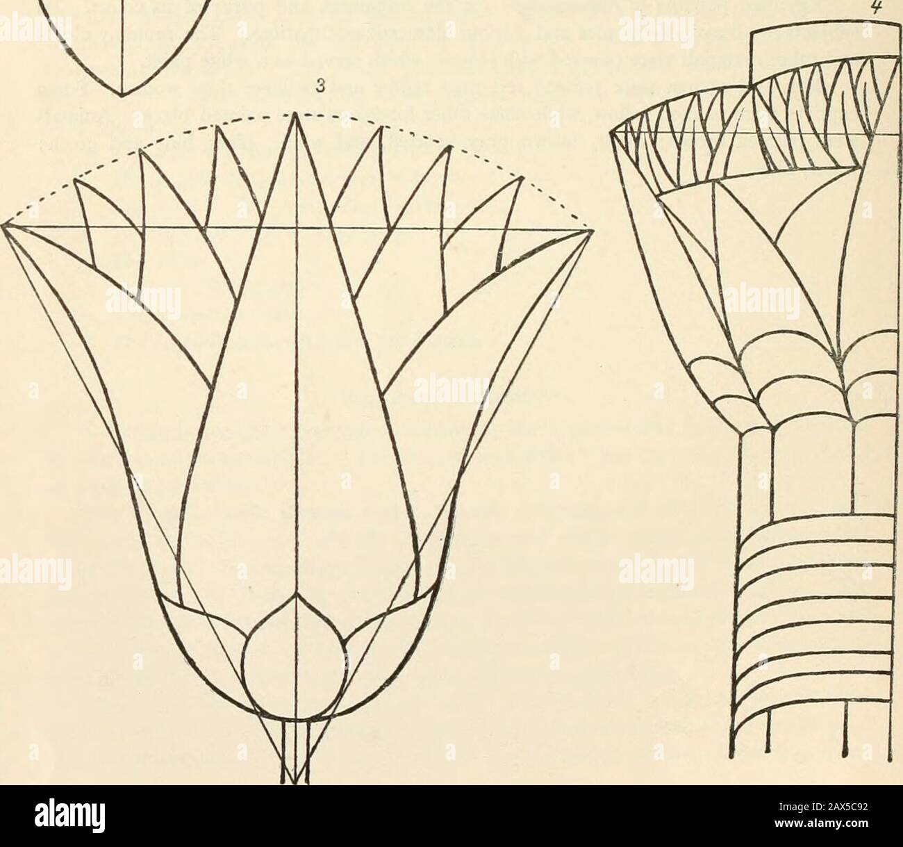 Aesthetic manual accompany aesthetic series hi-res stock photography ...