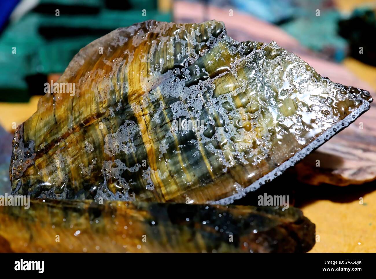 Rare geological collectors stones: close up color image of a golden ...