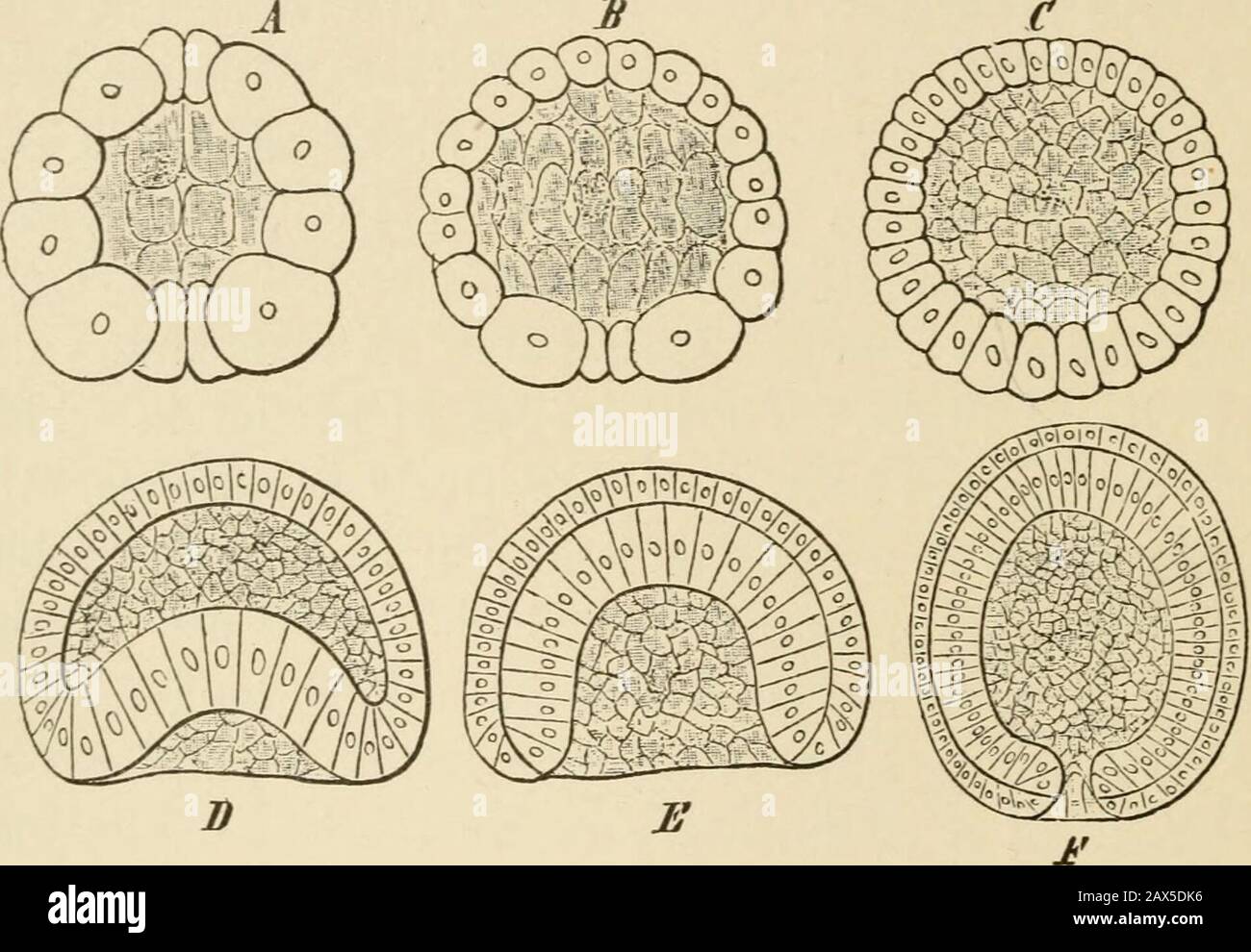 Ns functional hi-res stock photography and images - Alamy
