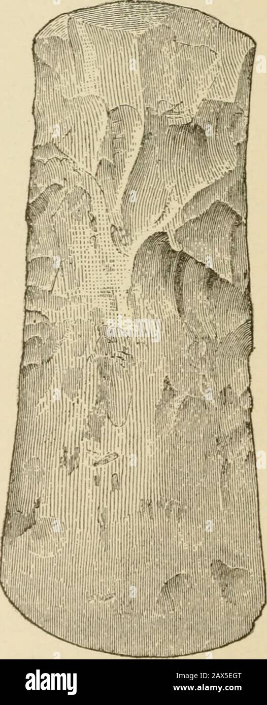 Neolithic pottery britain hi-res stock photography and images - Alamy