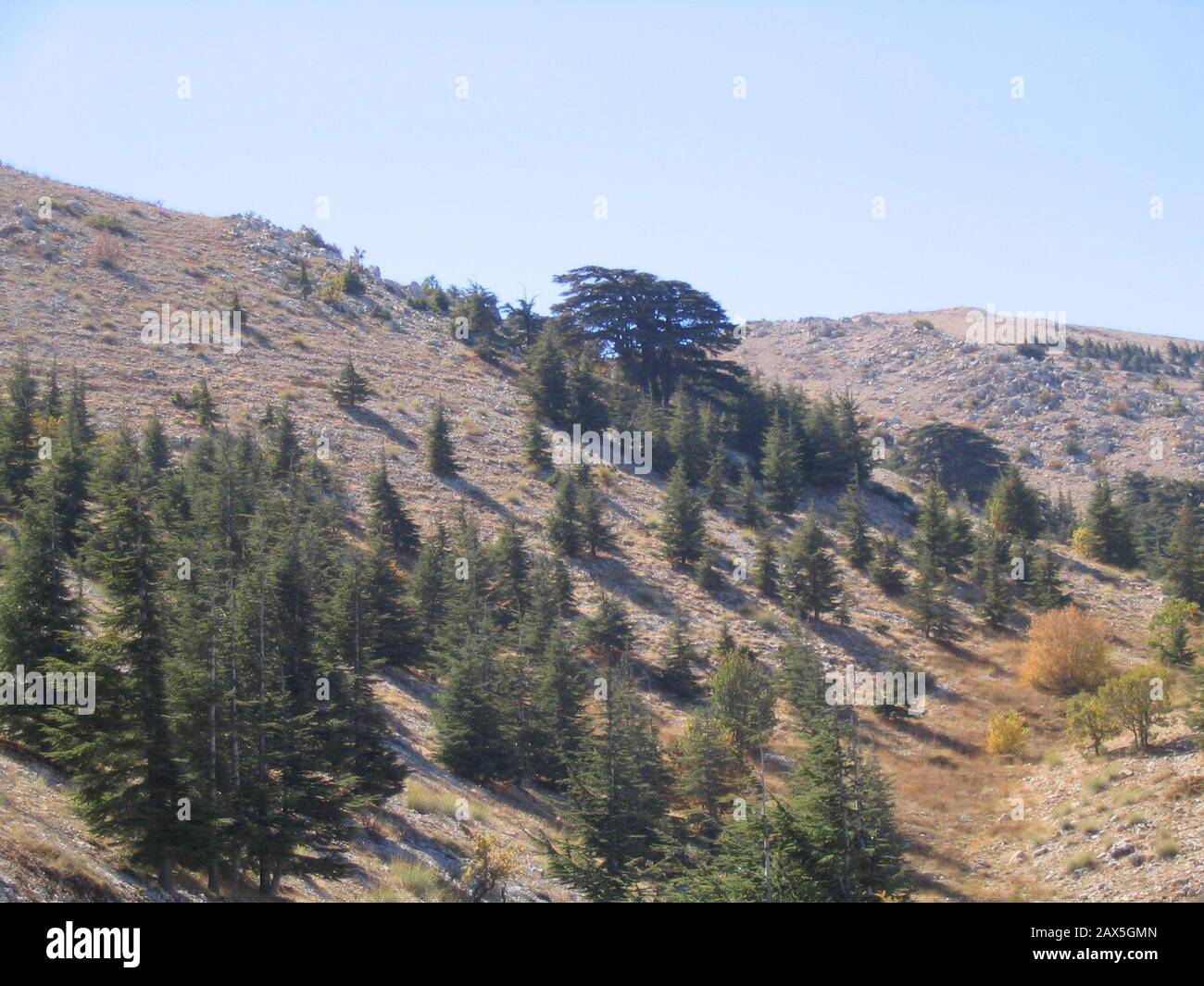 Landscape Of Lebanon High Resolution Stock Photography and Images - Alamy