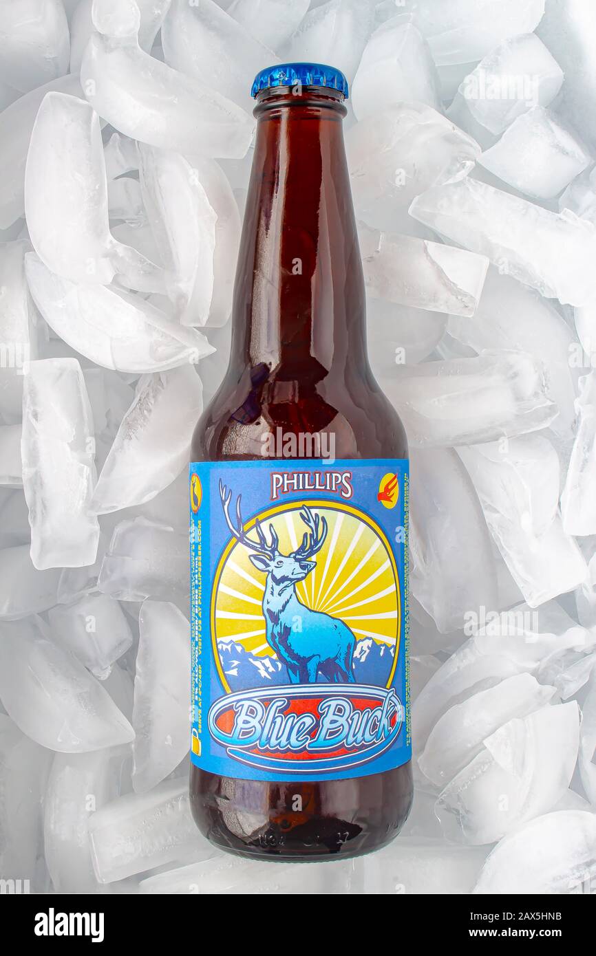 Blue Buck Phillips Brewing Company. A deep amber coloured beer Stock ...