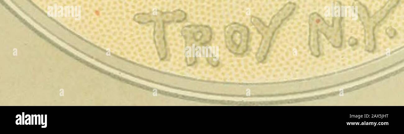 Birth and triumph of Cupid Stock Photo - Alamy