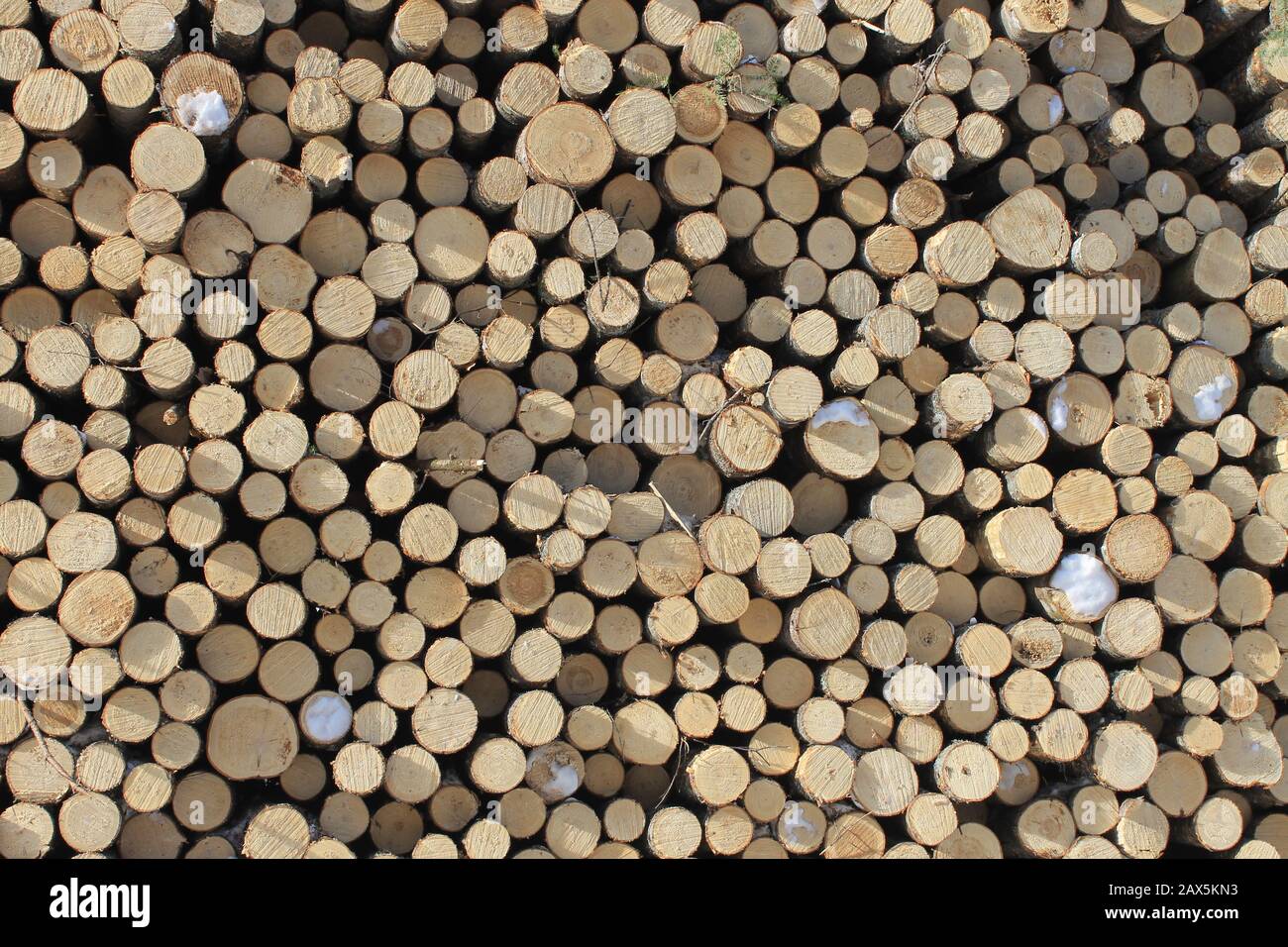 Logging in east new hi-res stock photography and images - Alamy
