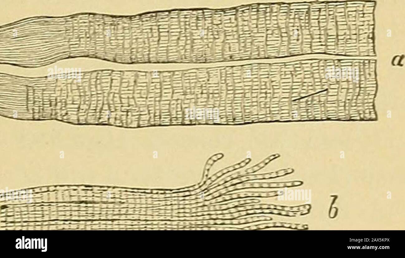 Ring shaped pouches hi-res stock photography and images - Alamy