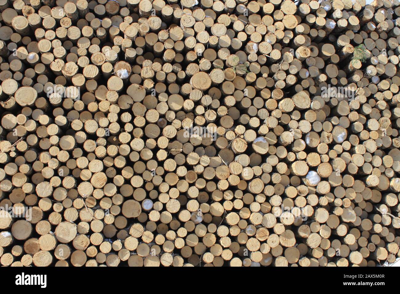 Logging in east new hi-res stock photography and images - Alamy