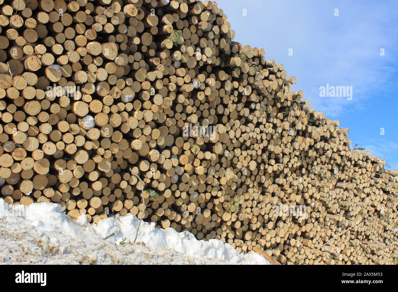 Huge pile of logs hi-res stock photography and images - Alamy