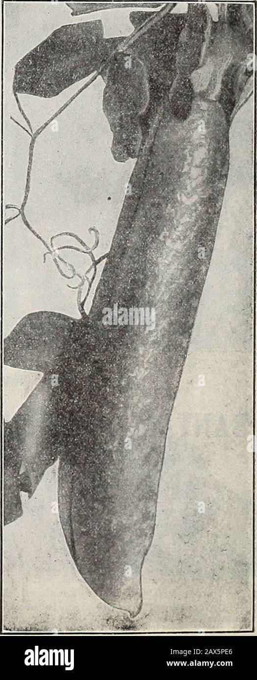 24 2lbs hi-res stock photography and images - Alamy