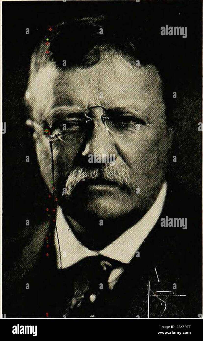 Theodore roosevelt v hi-res stock photography and images - Alamy