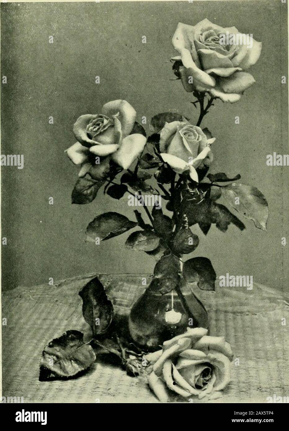 Inharmonious hi-res stock photography and images - Alamy