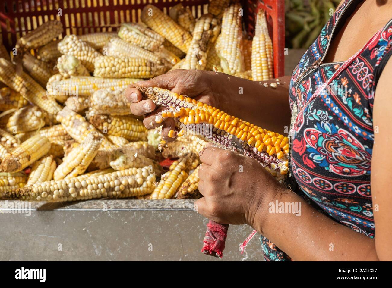 Colombian woman shelling corn in the market, close-up Stock Photo - Alamy