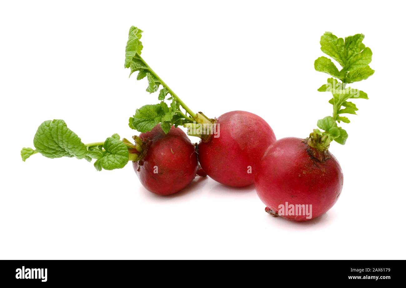 Small garden radish isolated on white background Stock Photo - Alamy